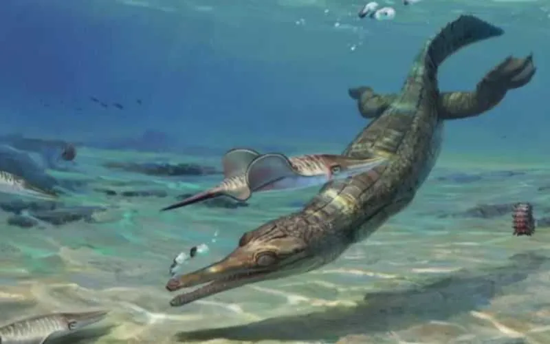 Découverte au Maroc d’un ancêtre fantôme des anciens crocodiles marins Découverte au Maroc d’un ancêtre fantôme des anciens crocodiles marins