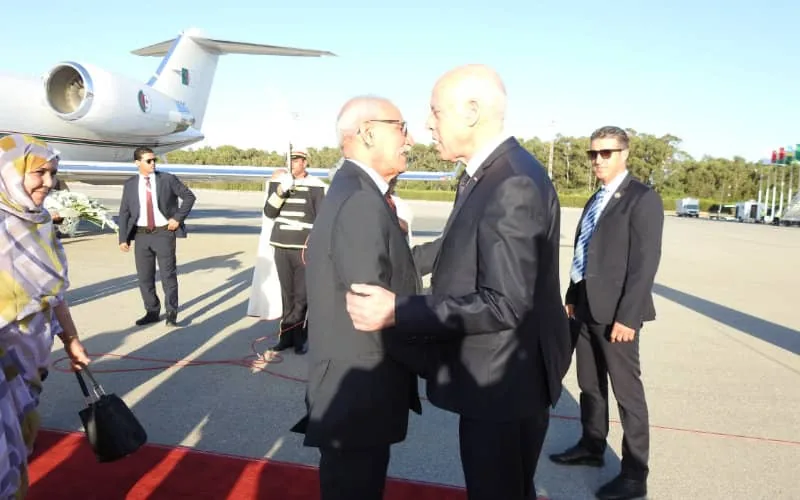 Invitation de Brahim Ghali : le RNI condamne la « démarche immature ... Invitation de Brahim Ghali : le RNI condamne la « démarche immature ...